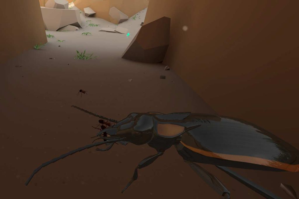 BBC Earth testet interaktive Tierdoku mit Oculus - Schweizer Virtual ...