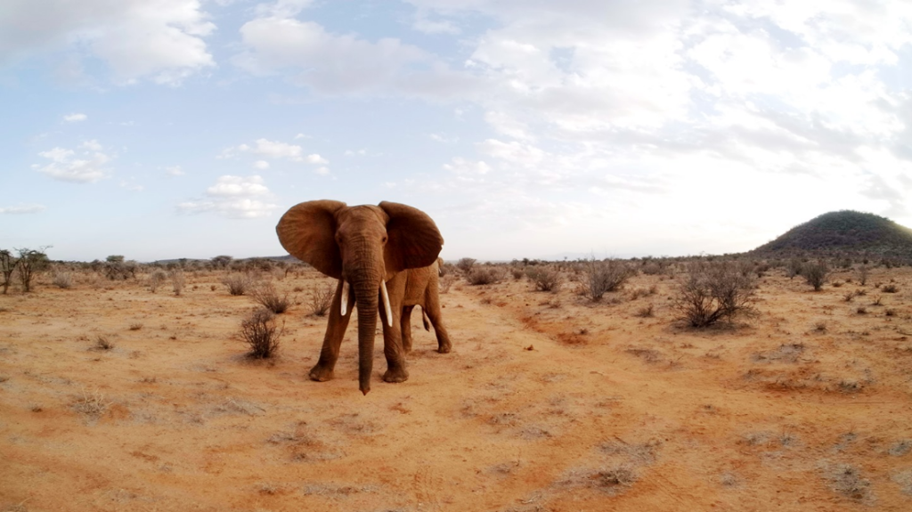 Ecosphere: Dreiteilige Naturdoku für Oculus Quest & GO - Schweizer ...