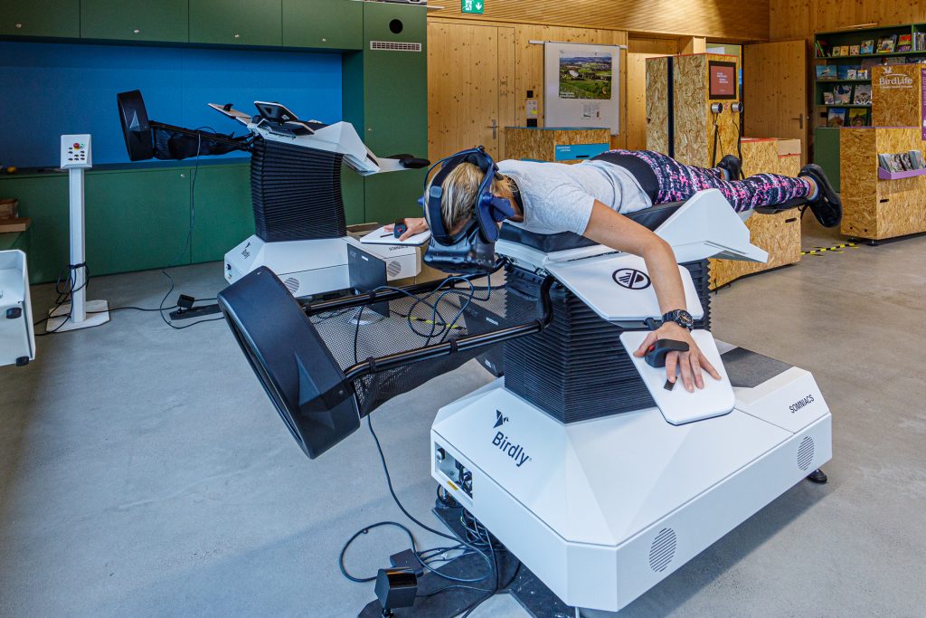 Insektenflugsimulator «Birdly Insects» im Test - Schweizer Virtual ...