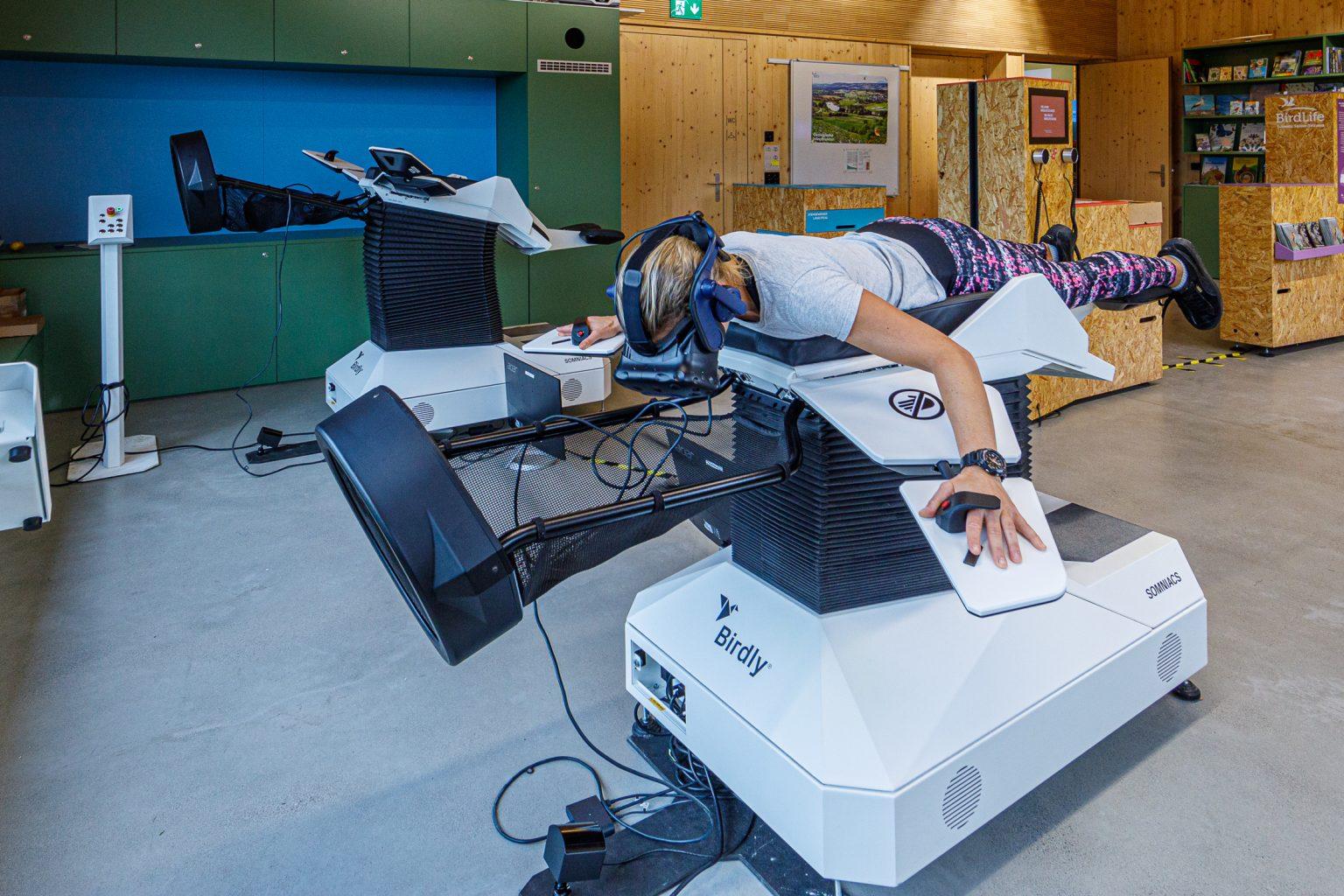 Insektenflugsimulator «Birdly Insects» im Test - Schweizer Virtual ...